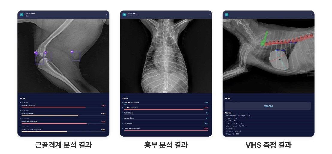 SKT, AI기반 동물영상진단 보조서비스(‘엑스칼리버’)출시 : 클리앙